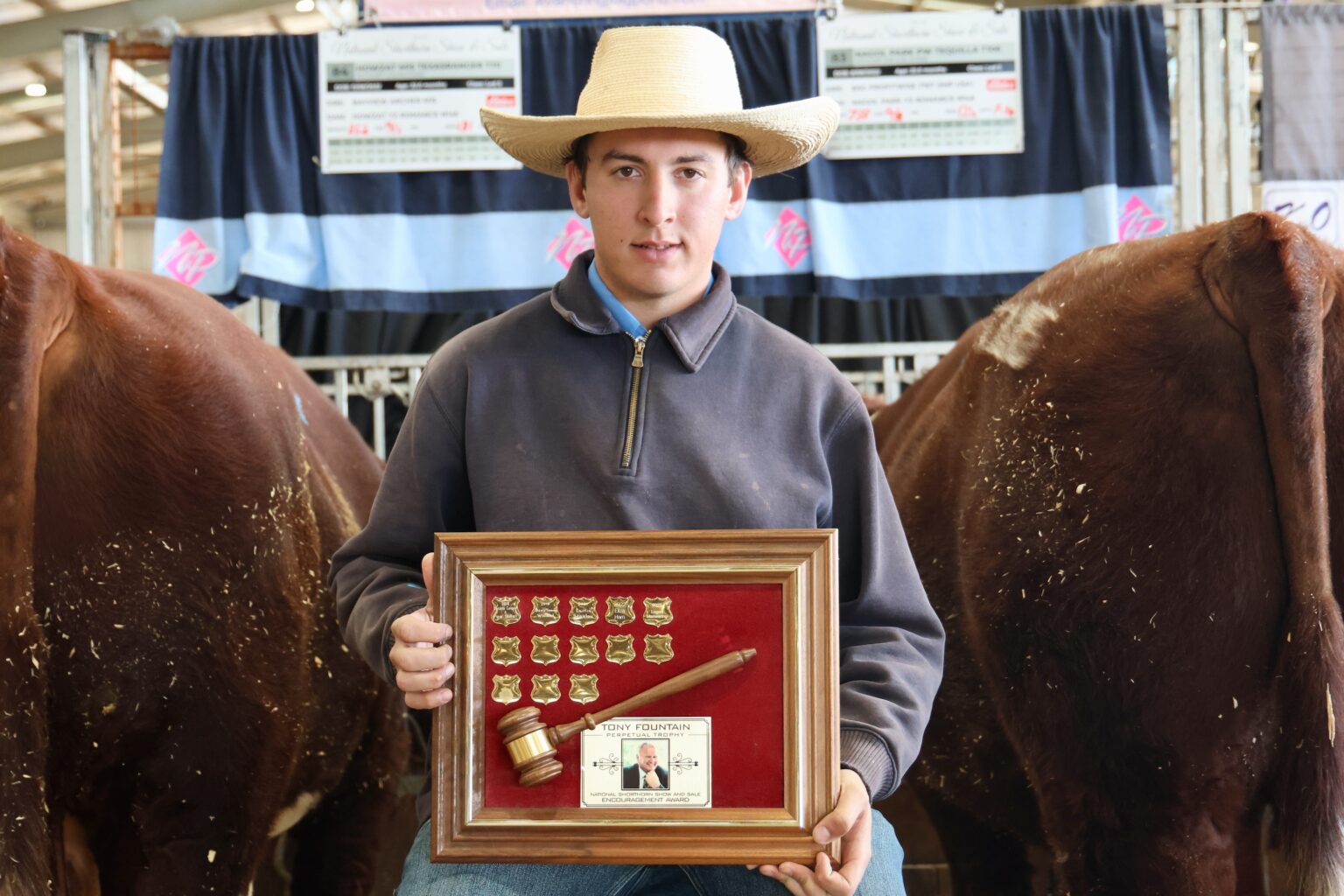 Young studmaster Logan Evans recognised at 2024 Shorthorn National ...