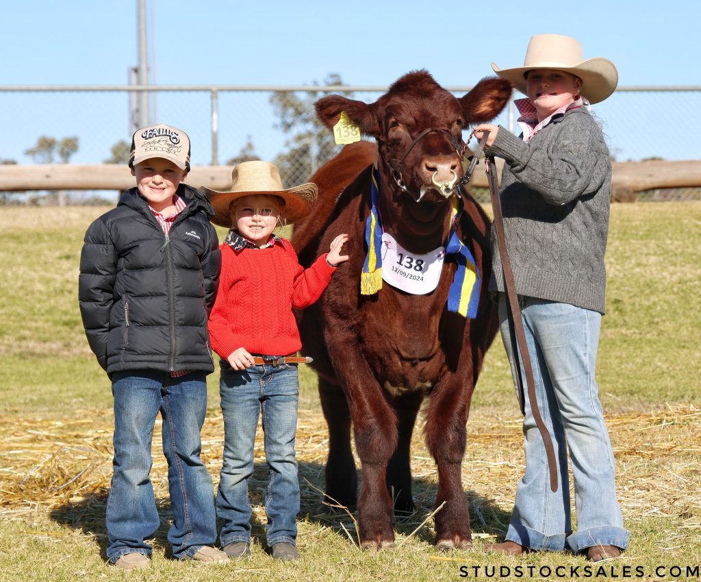2025 National Sale Results - National Shorthorn Show & Sale